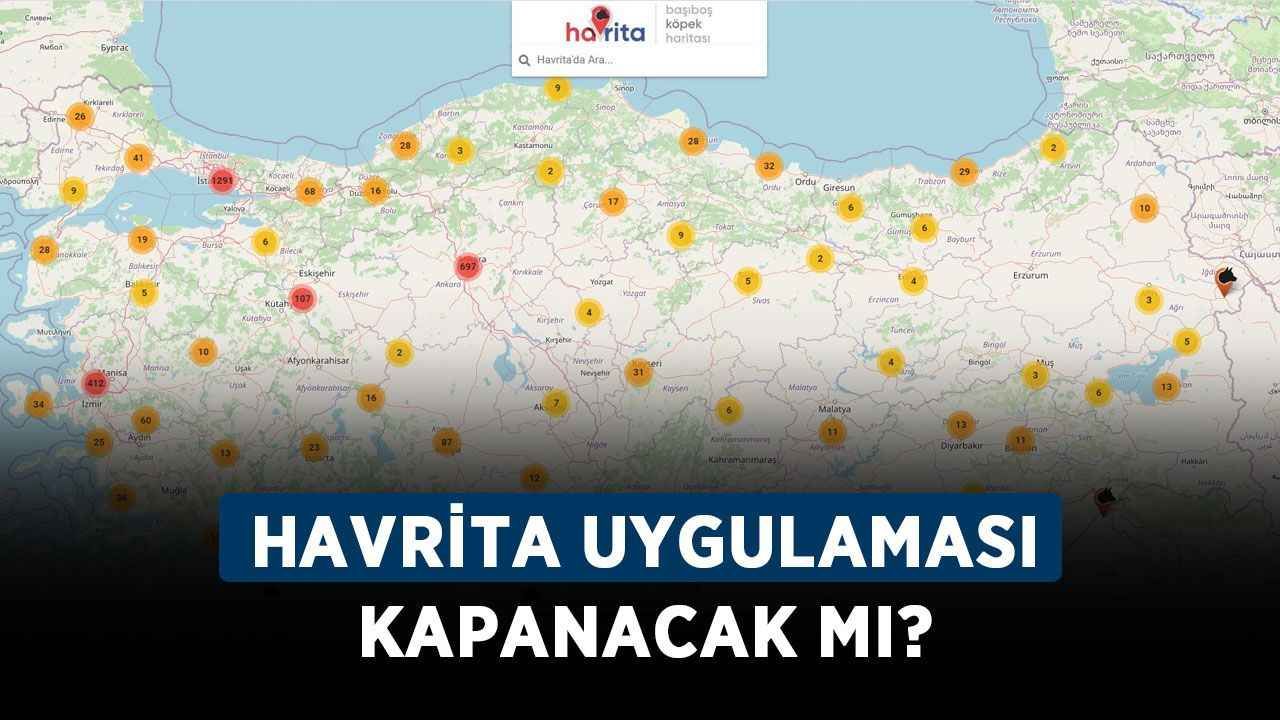 Havrita nedir, nasıl kullanılır? Havrita uygulaması kapanacak mı?