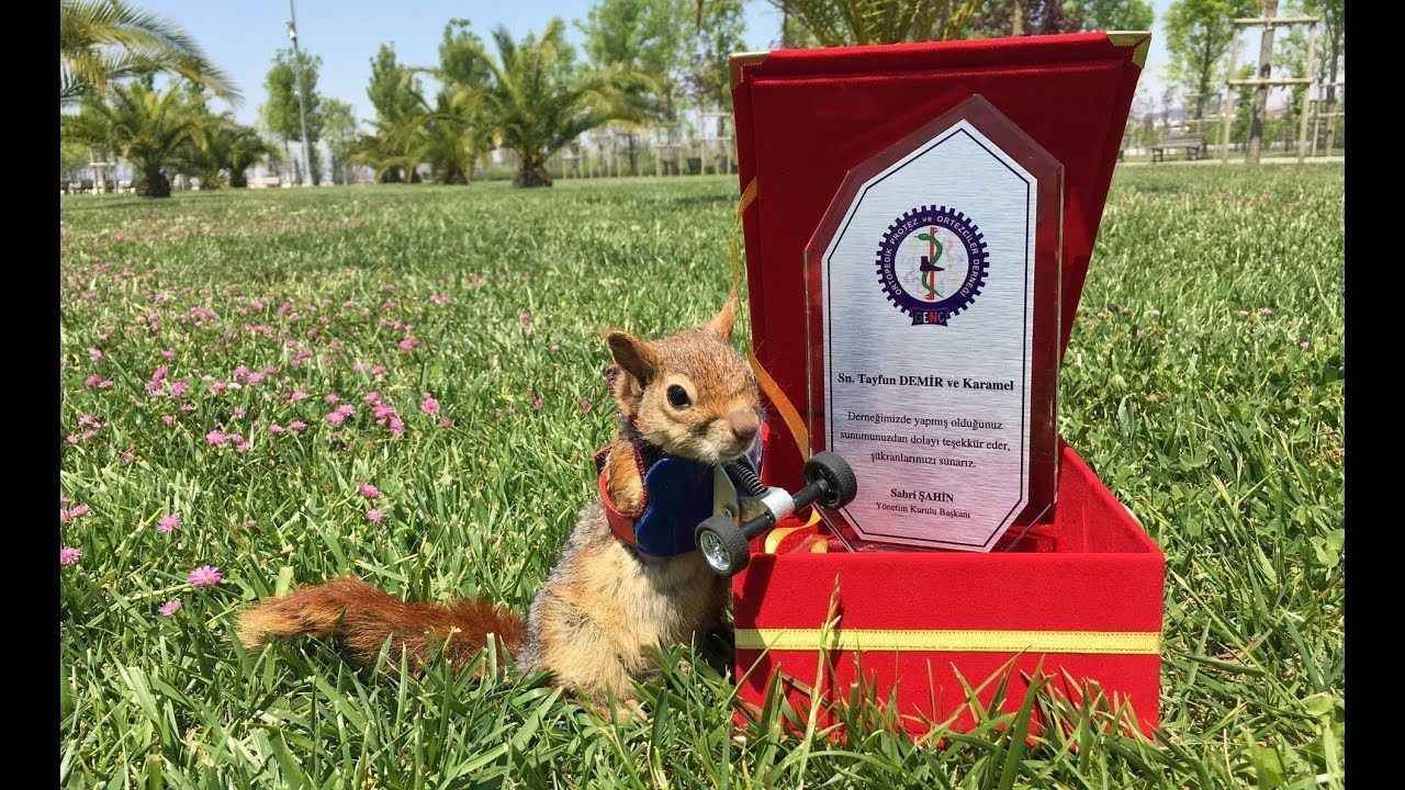 Youtuber Tayfun Demir kimdir, suçu ne? Tayfun Demir’e 52 yıl hapis ...