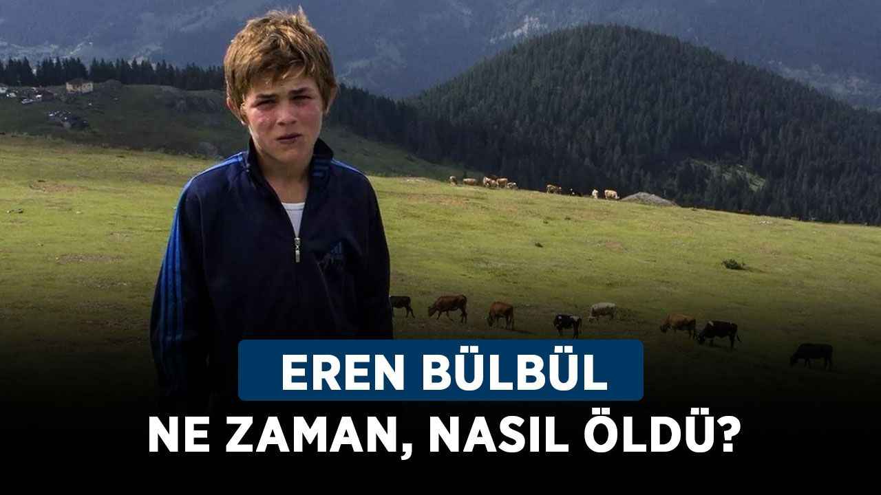 Eren Bülbül ne zaman, nasıl öldü? Eren Bülbül kimdir, kaç yaşındaydı ... Eren Bülbül ne zaman, nasıl öldü? Eren Bülbül kimdir, kaç yaşındaydı ...