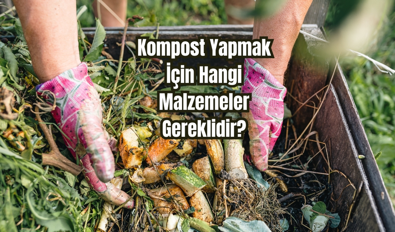 Kompost yapmak için hangi malzemeler gereklidir? Bitki atıklarından ...